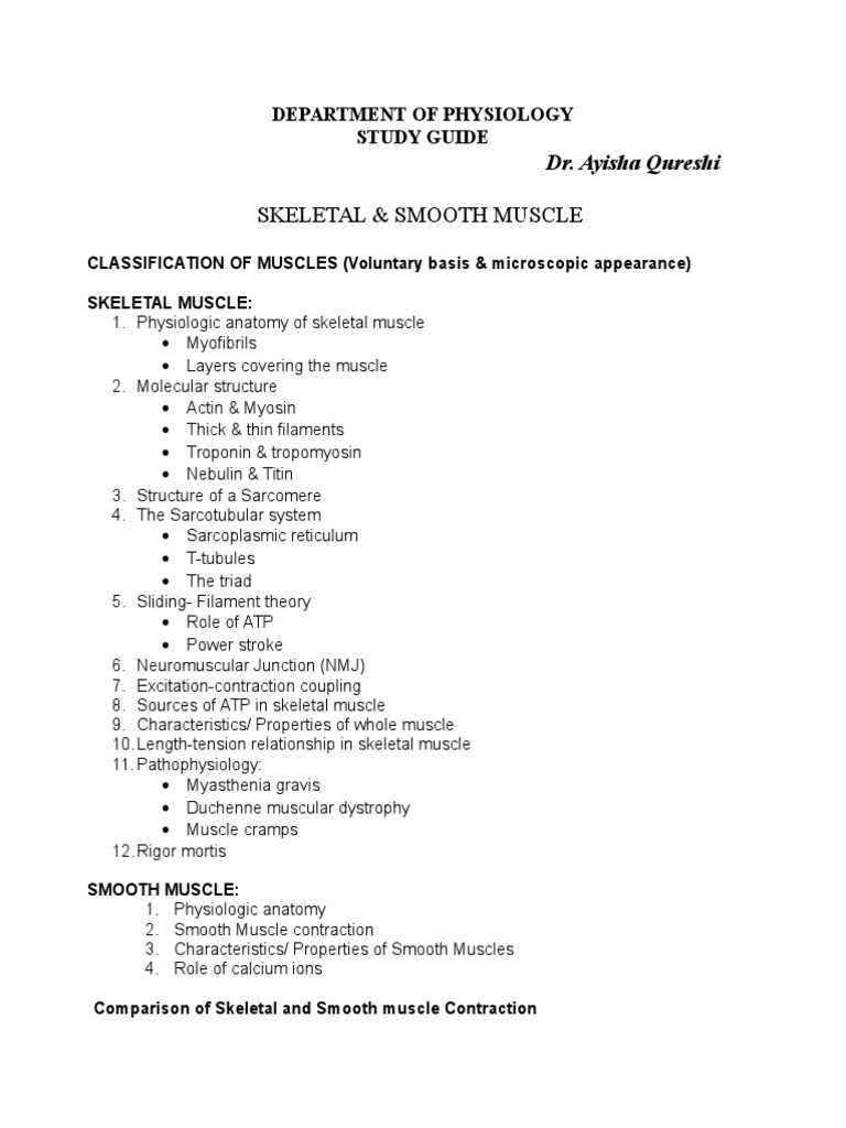 Skeletal & Smooth Muscle Study Guide | PDF