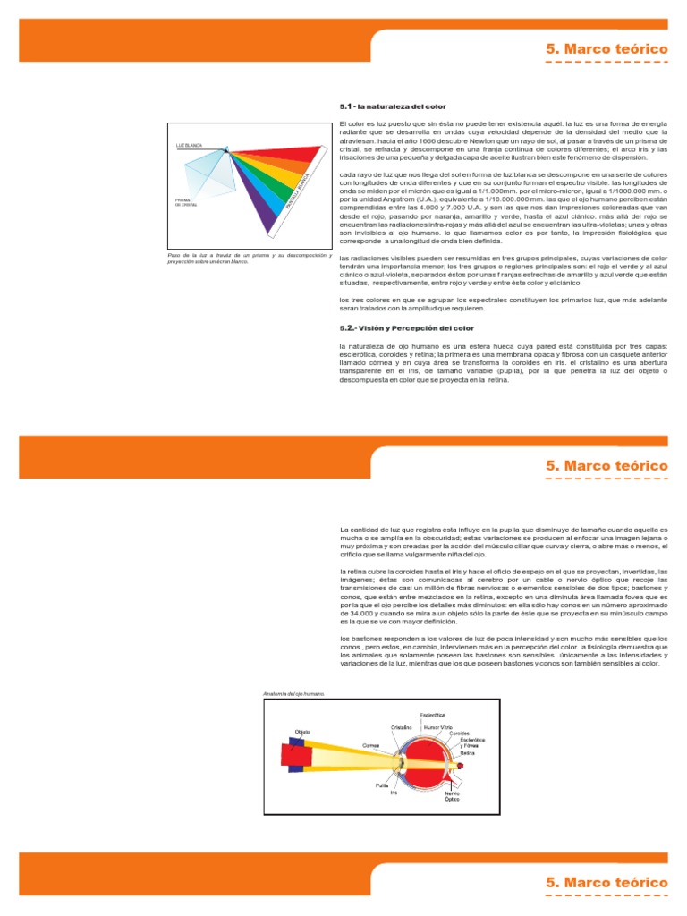 Fisiología del Color y Percepción Visual | PDF | Azul | Color