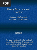 Body Tissues Concept Map Guide | PDF