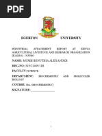 WALC 8 Word Findingml | PDF