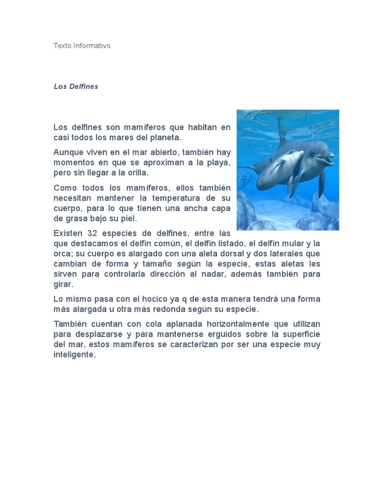 Texto Informativo Los Delfines | PDF | Hogar, jardinería y bricolaje