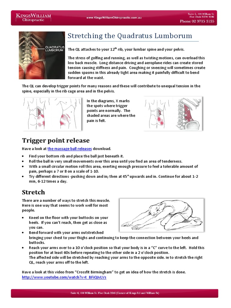 Stretching The Quadratus Lumborum: Trigger Point Release | PDF