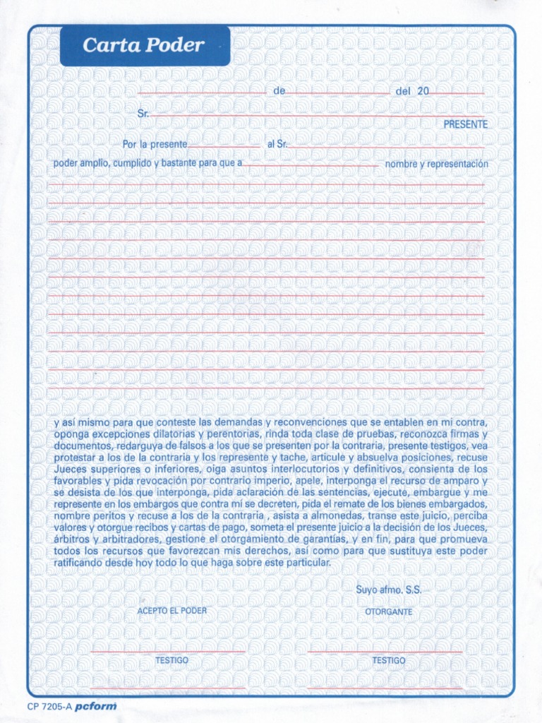 Carta Poder Azul | PDF