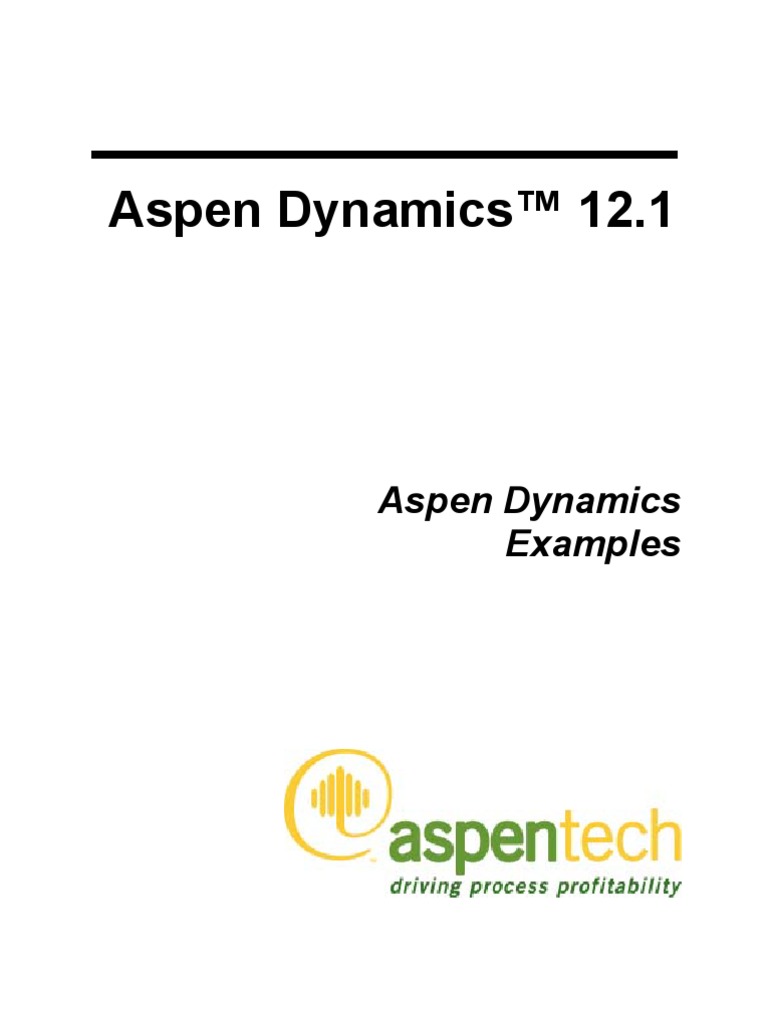 Aspen Dynamics Examples | PDF