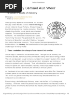 7 Stages of Alchemical Transformation | PDF | Alchemy | Distillation