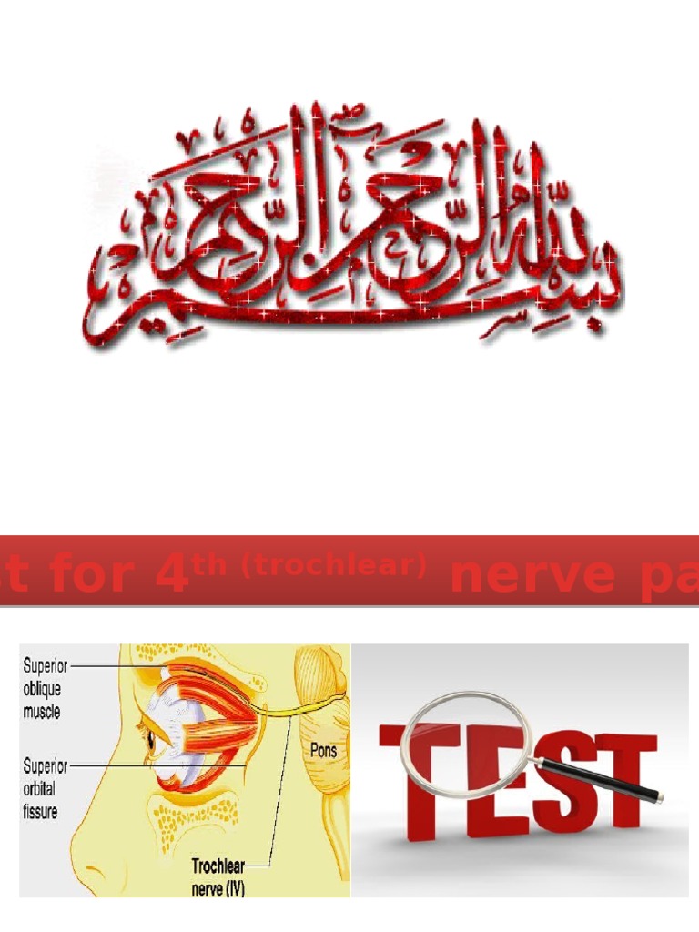 Test For 4th (Trochlear) Nerve Palsy | PDF