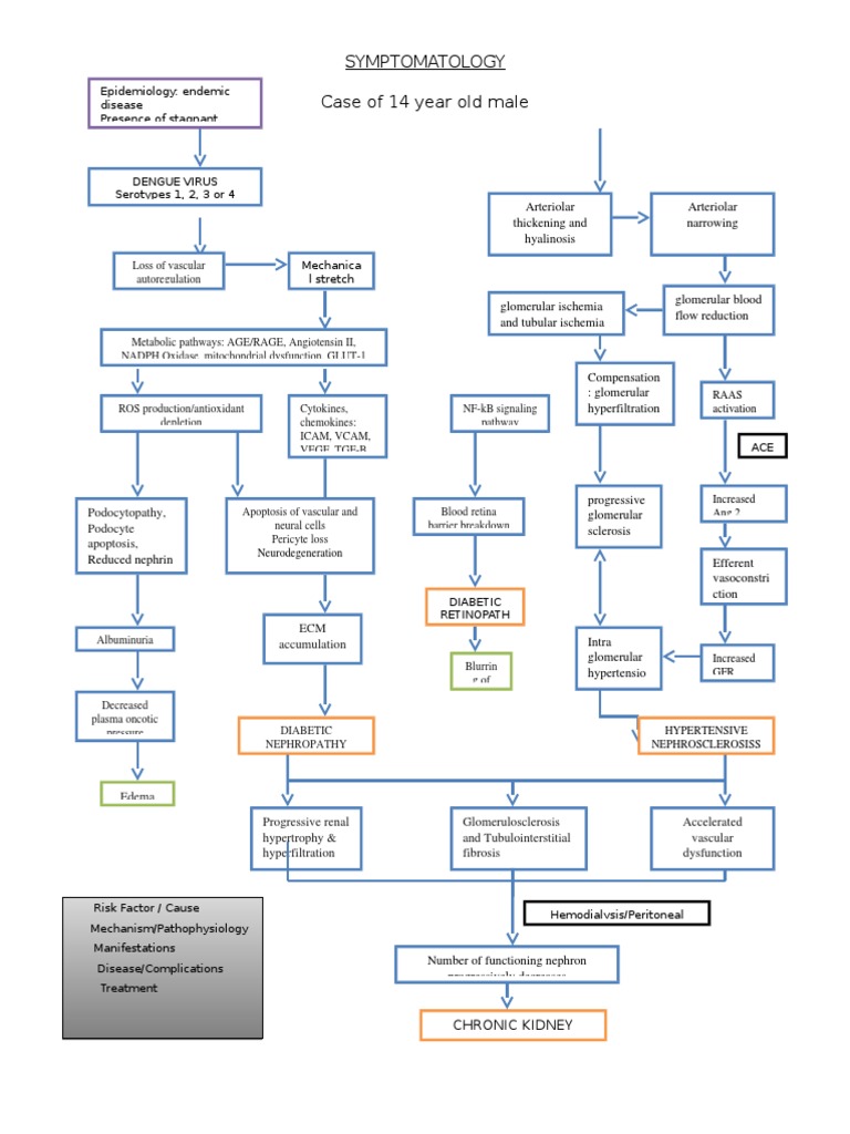 Comprehensive Pathophysiology Diagram of Chronic Kidney Disease and ...