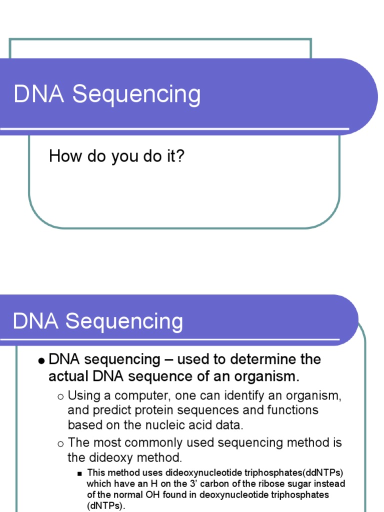 DNA Sequencing: How Do You Do It? | PDF | Sequencing | Gel Electrophoresis