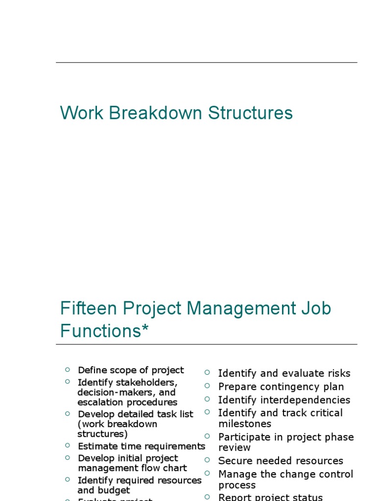 Work Breakdown Structures Misc | PDF