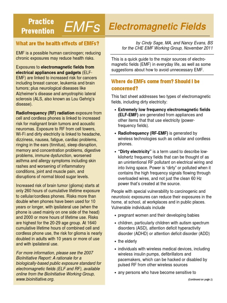 Electromagnetic Fields | PDF | Radio Frequency | Wireless