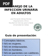 Guía de Referencia IVU | PDF | Infección del tracto urinario | Medicina ...