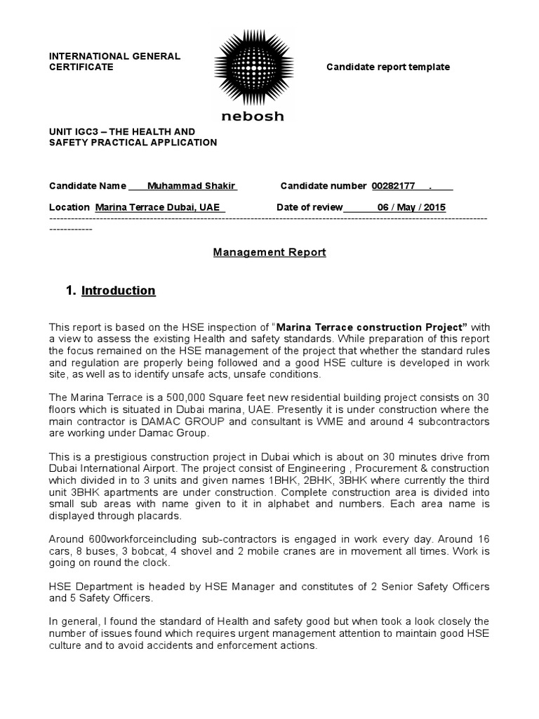 Management Report Sample | PDF | Traffic Collision | Occupational ...