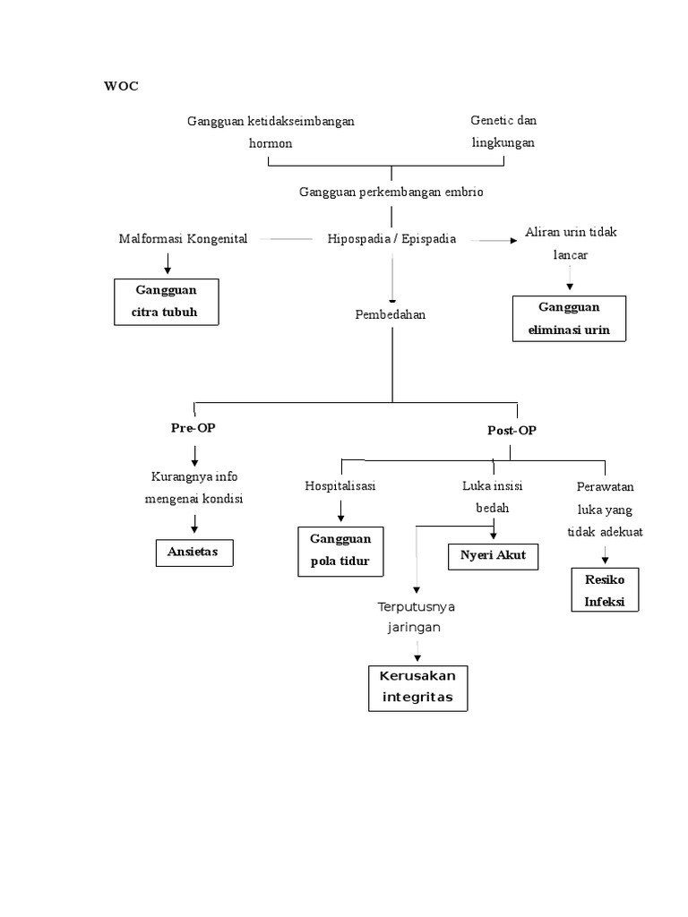 Woc Hipospadia/epispadia | PDF