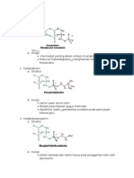 Biosintesis dan Struktur Fosfolipid | PDF