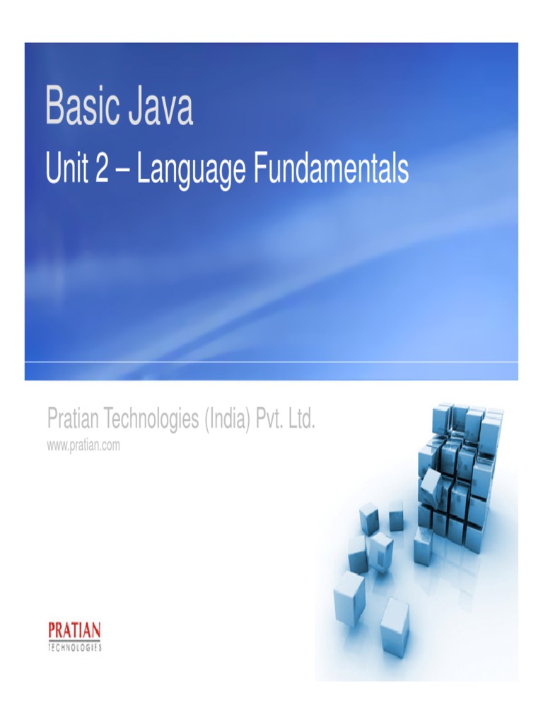 Language Fundamentals | PDF | Data Type | Integer (Computer Science)