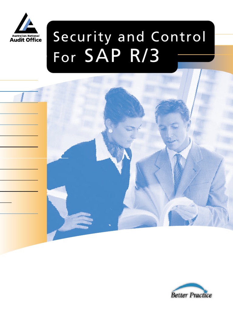 Security and Control For SAP R3 | PDF | Accounts Payable | Information ...