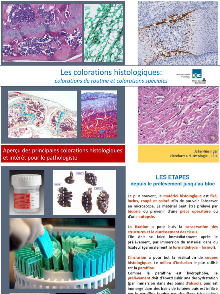 Les Colorations Histologiques | PDF | Histologie | Anatomie