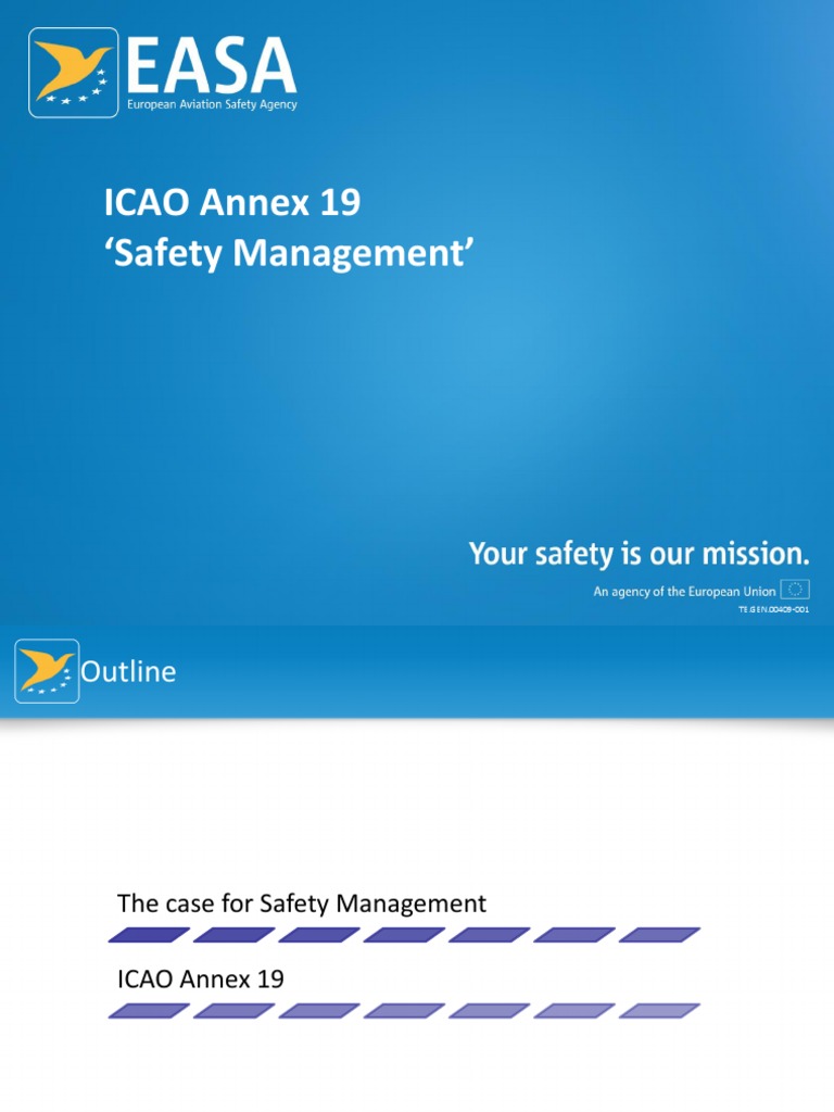 ICAO-annex-19.pdf | Risk | Traffic Collision