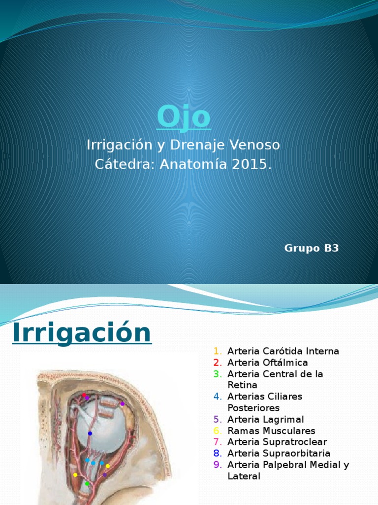 Ojo-Irrigacion y Drenaje Venoso | PDF