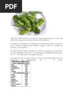 Cultivo y Manejo del Nabo Forrajero | PDF | Siembra | Nabo