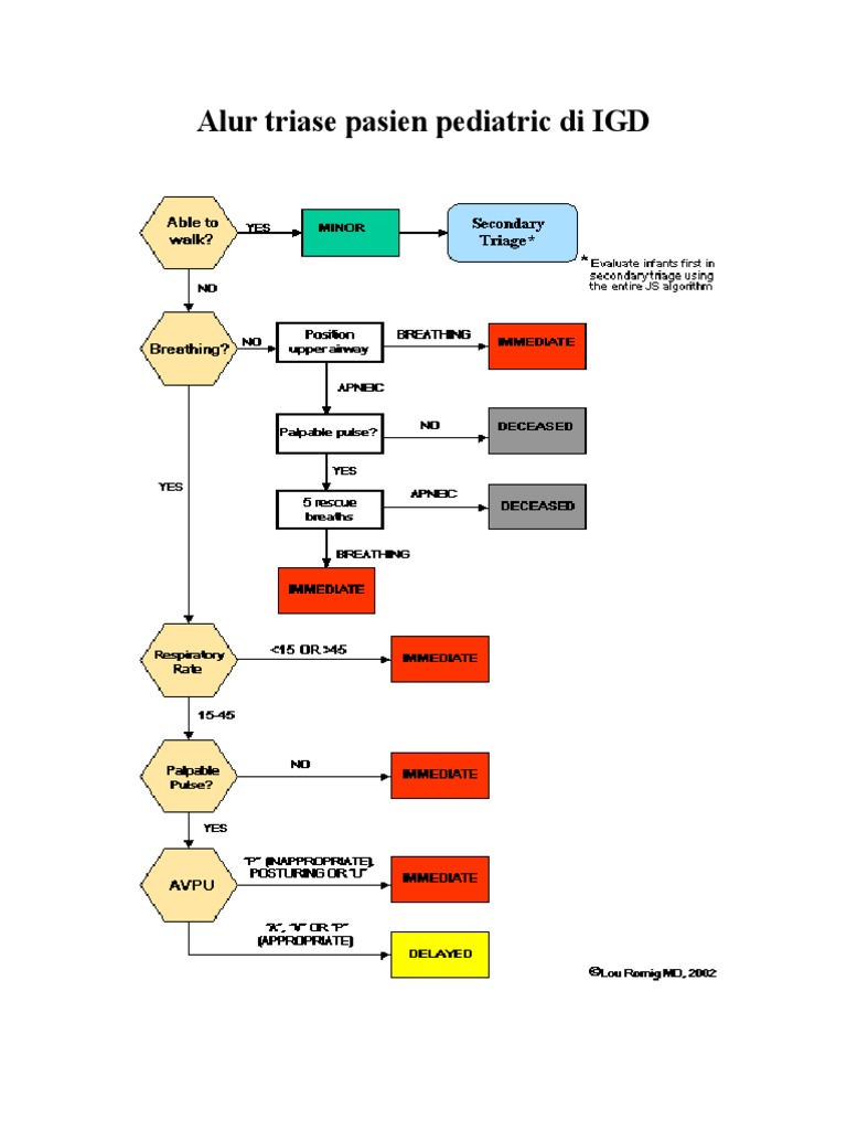 Alur Triase Pasien Pediatric Di IGD | PDF