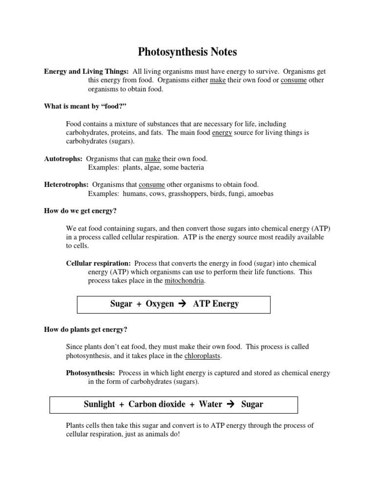 Photosynthesis Notes | PDF | Photosynthesis | Adenosine Triphosphate
