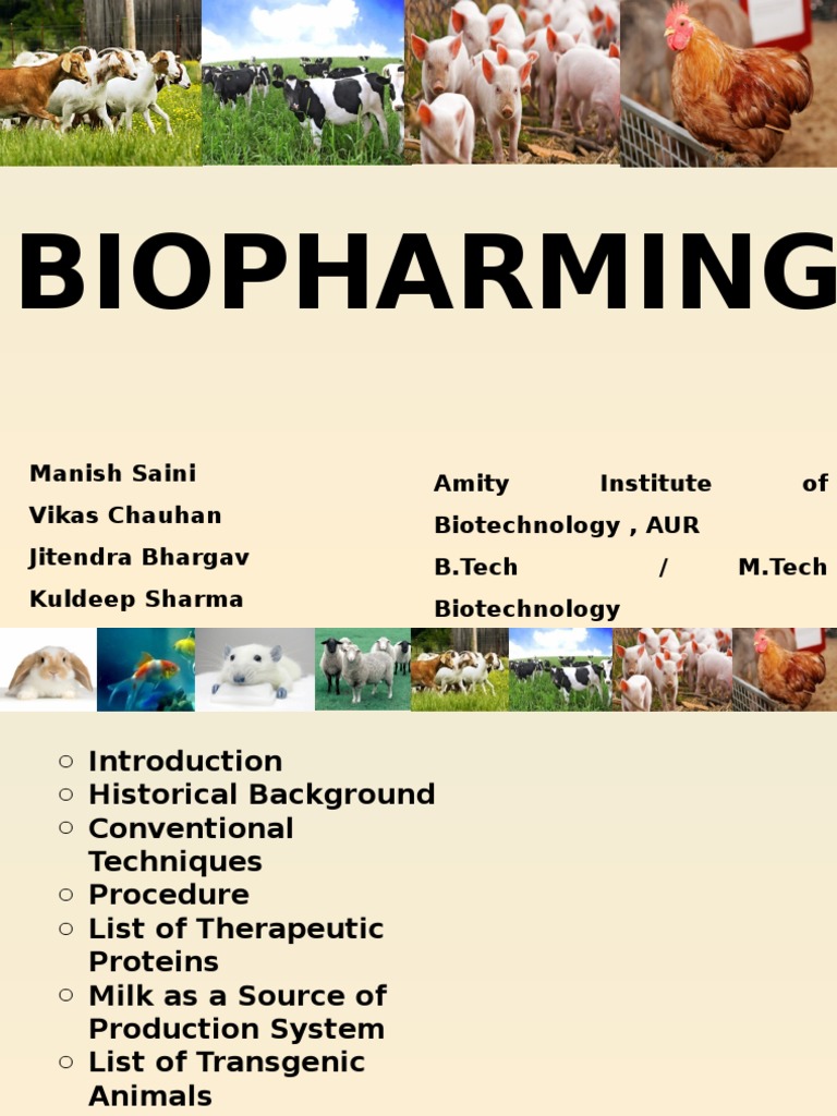 BioPharming (Molecular Farming) | PDF | Transgene | Genetically ...