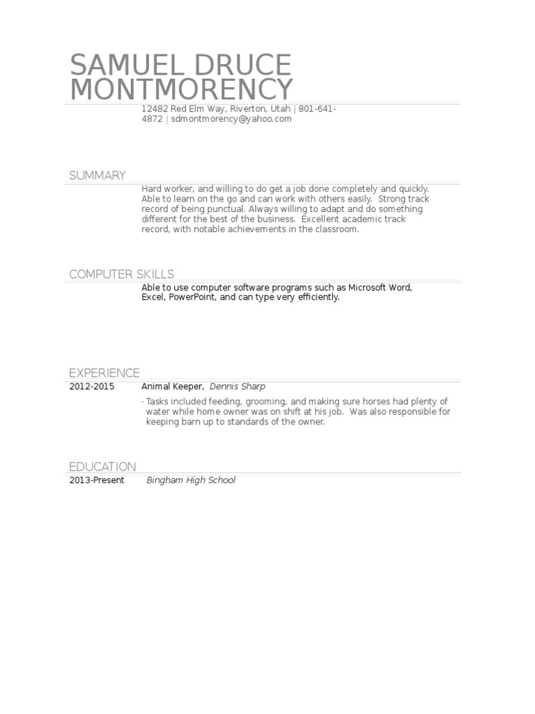 Samuel Druce's Resume Summary | PDF