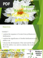 Pollination Class 12 Biology Project | PDF | Pollination | Pollinators