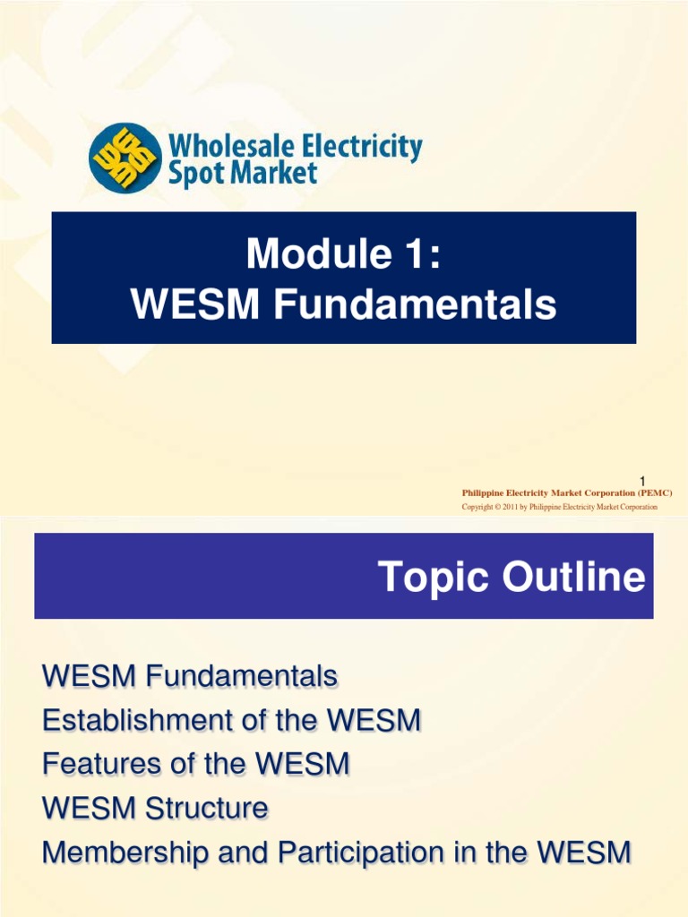Module 1-WESM Fundamentals | PDF | Electric Power Transmission ...