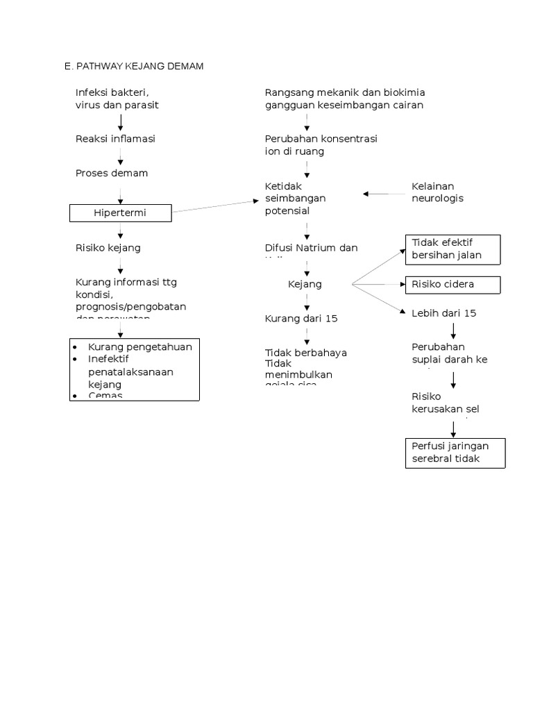 Pathway Kejang Demam, DST | PDF