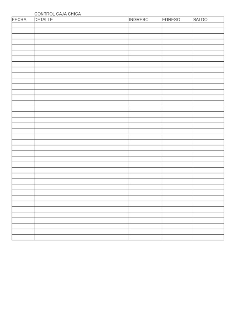 Formato Control Caja Chica | PDF | Tecnología
