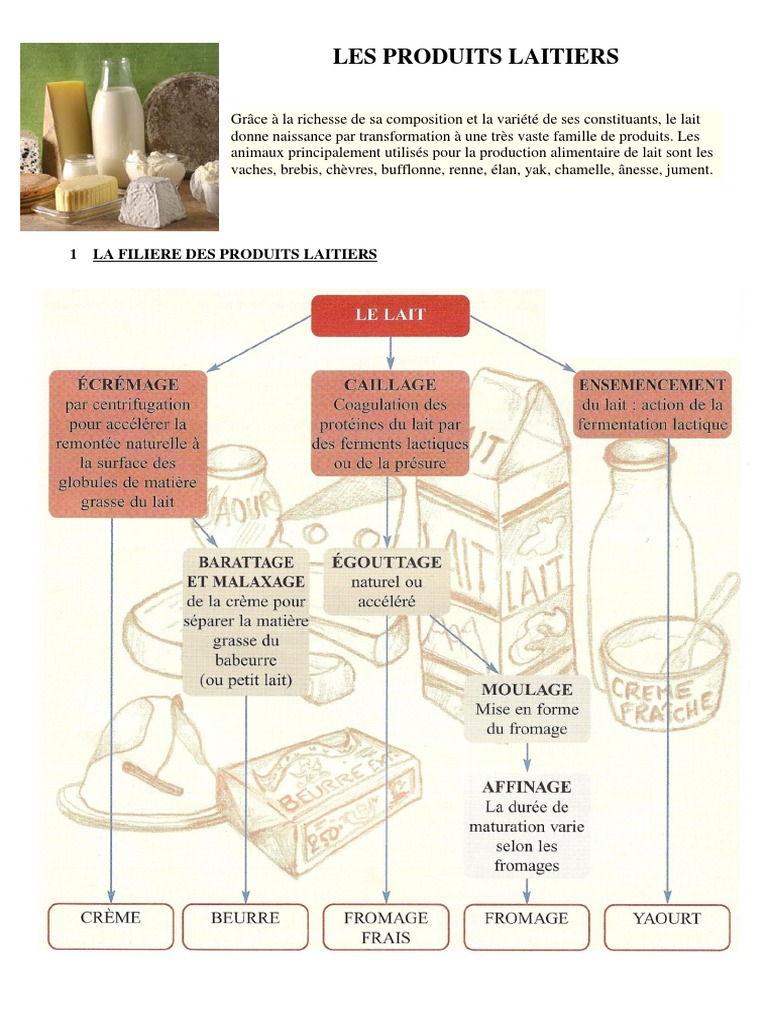 Produits Laitiers : Types et Utilisations | PDF