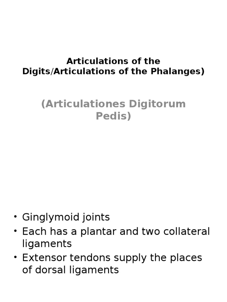 Articulationes Digitorum Pedis) : Articulations of The Digits ...