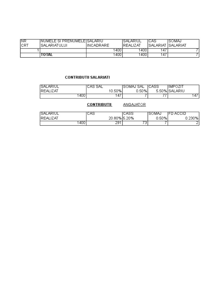Excel Cu Formule Stat Plata | PDF