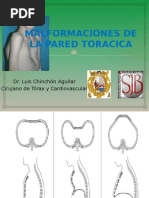 ESCAROTOMÍA | PDF | Quemar | Hospital