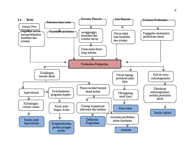 Woc HPP Seminar | PDF | Kesehatan Holistik | Sains & Matematika