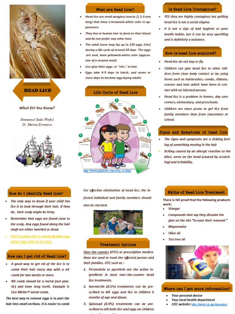 Head Lice Flyer | Health Treatment | Wellness