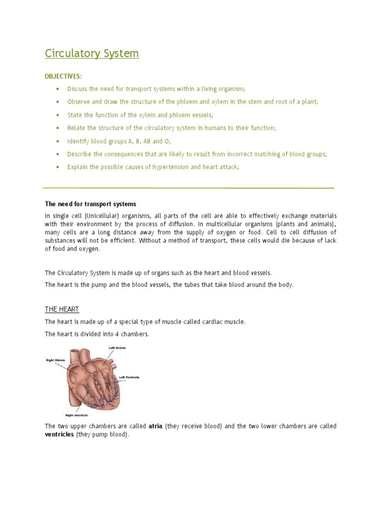 Circulatory System: Transport and Blood Circulation | PDF | Blood Type ...