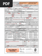 Formato His en Blanco | PDF | Cuidado de la salud | Medicina