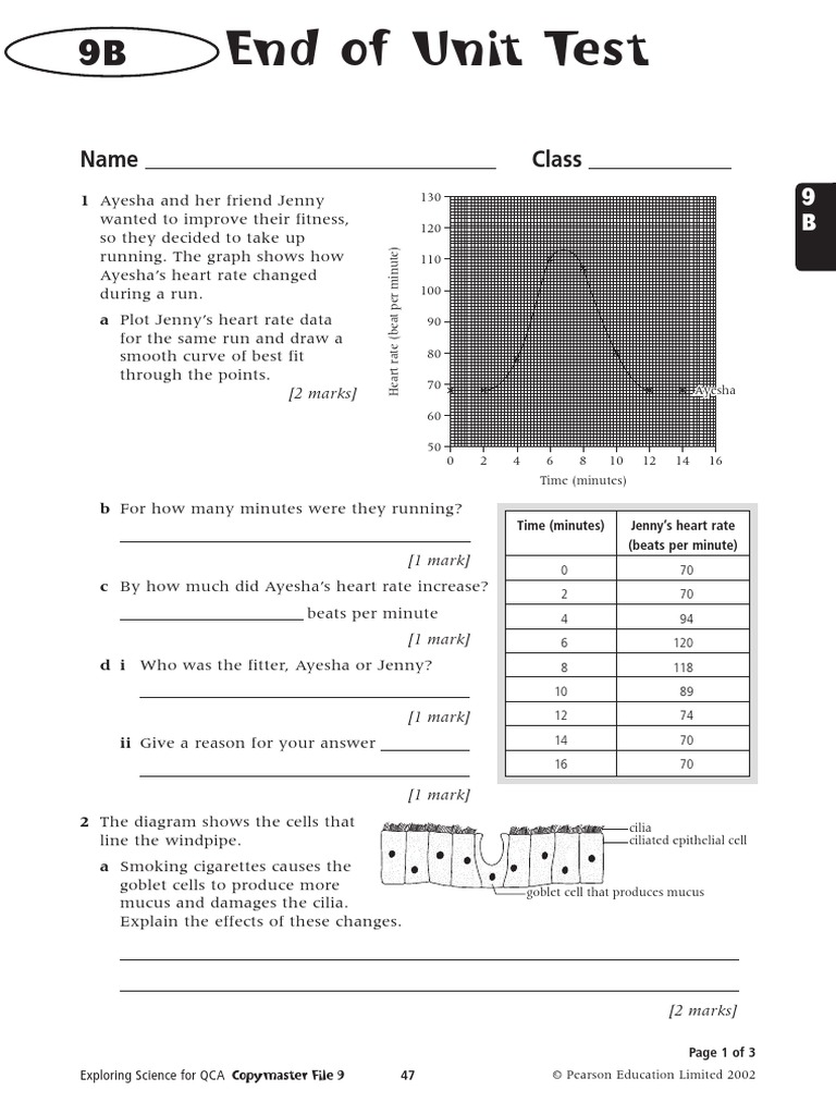 End of Unit Test: Name Class | PDF | Recreational Drug Use | Wellness