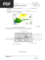 CH 8 Transport in Plants Worksheet 1 Answer | PDF | Stoma | Leaf