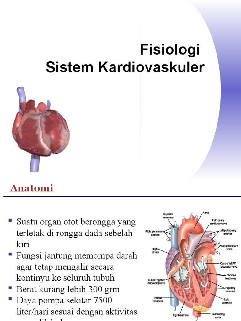 Fisiologi Kardiovaskuler | PDF
