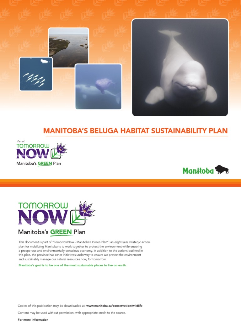 Manitoba Beluga Habitat Plan | PDF | Manitoba | Whales