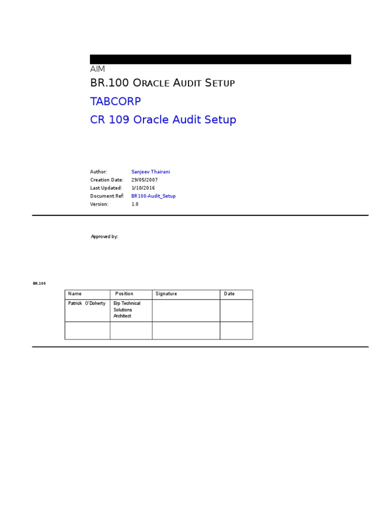 BR100 - Audit Setup | PDF | Table (Database) | Computer File