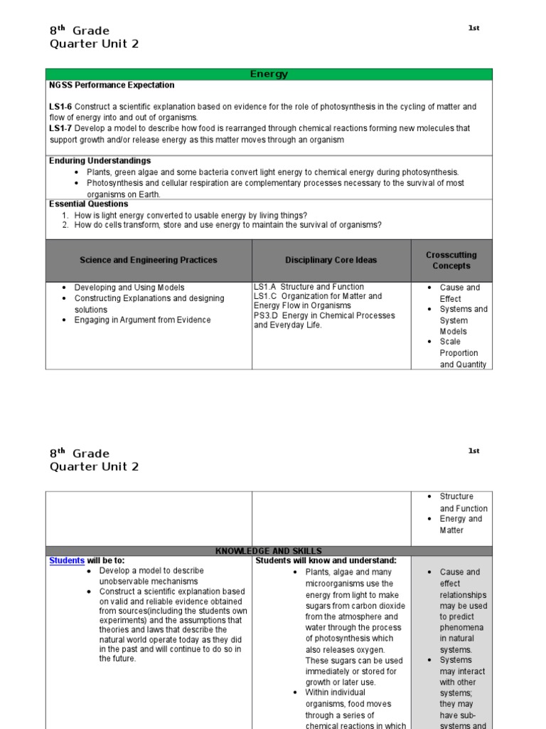 8th Grade Science | PDF | Chemical Reactions | Photosynthesis