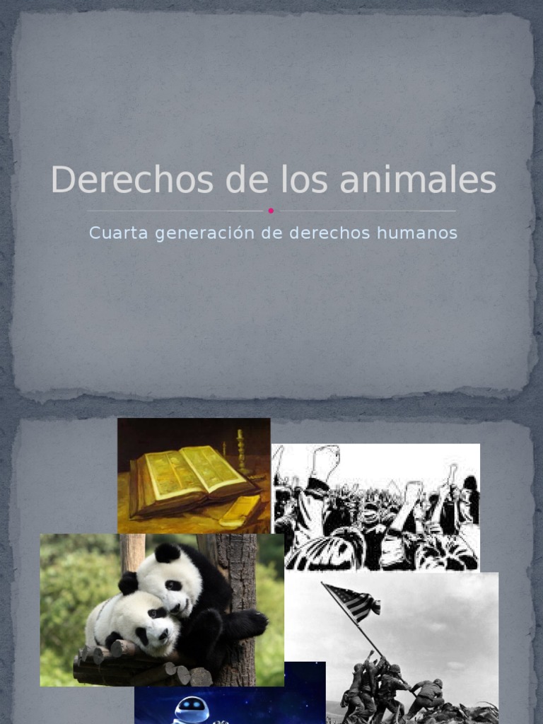 Derechos de los Animales y su Historia | PDF | Derechos animales ...