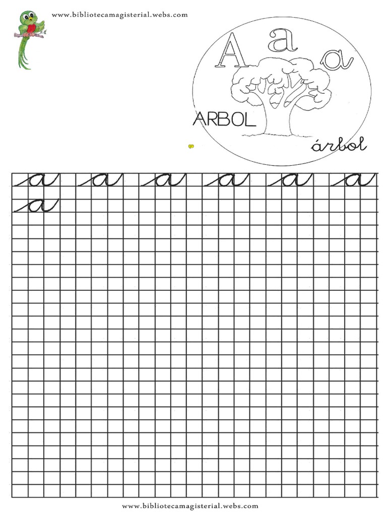 Folleto Primer Grado | PDF