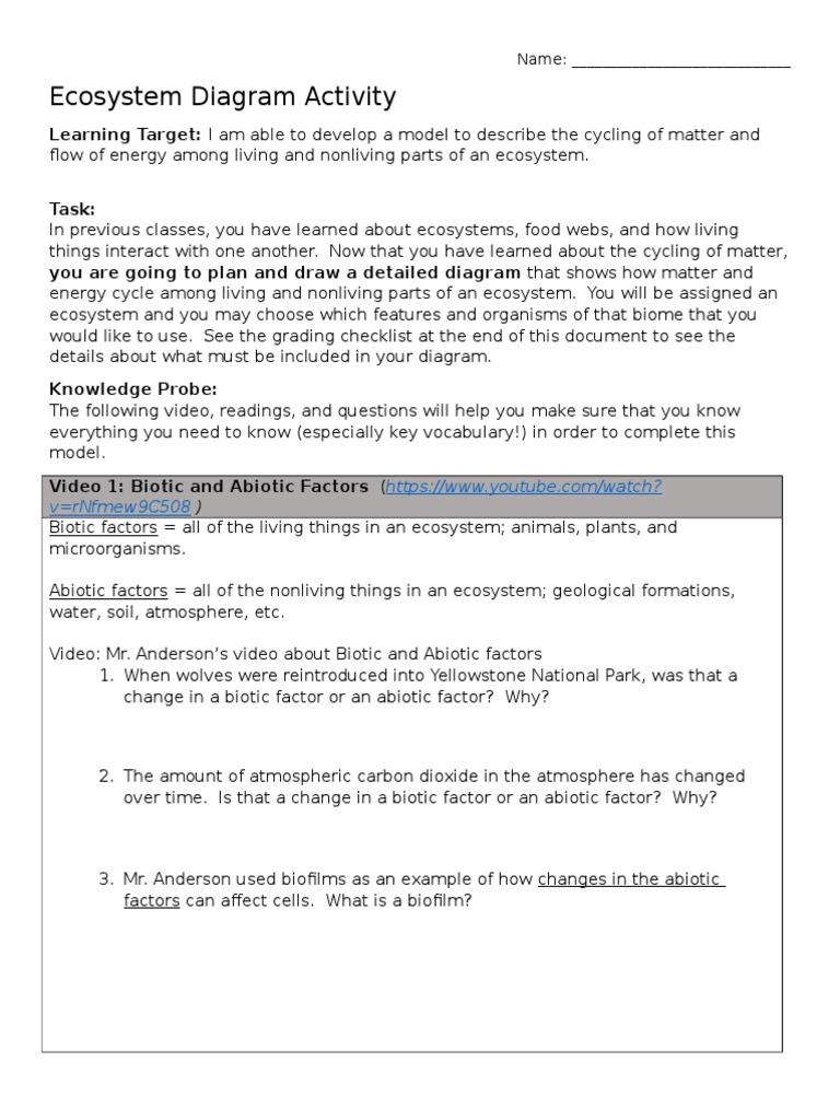 Ecosystem Diagram Activity Guide | PDF | Food Web | Ecosystem