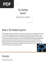 Skeletal System MCQs | PDF | Skeleton | Bone